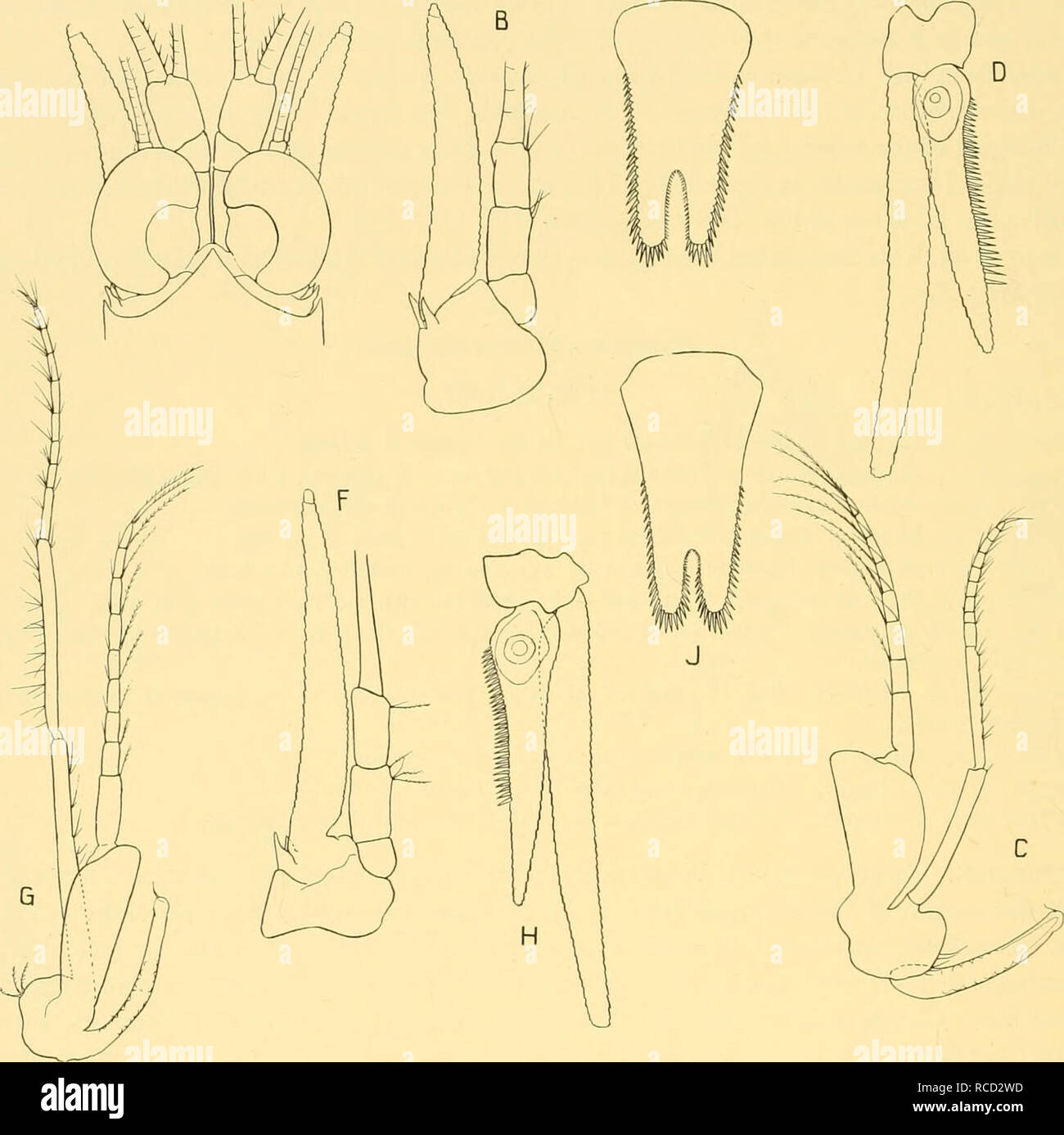 21 x 12 x 20 mm hi-res stock photography and images - Alamy