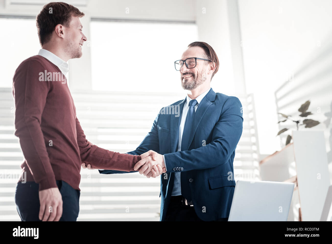 Jolly male colleagues welcoming each other Stock Photo - Alamy