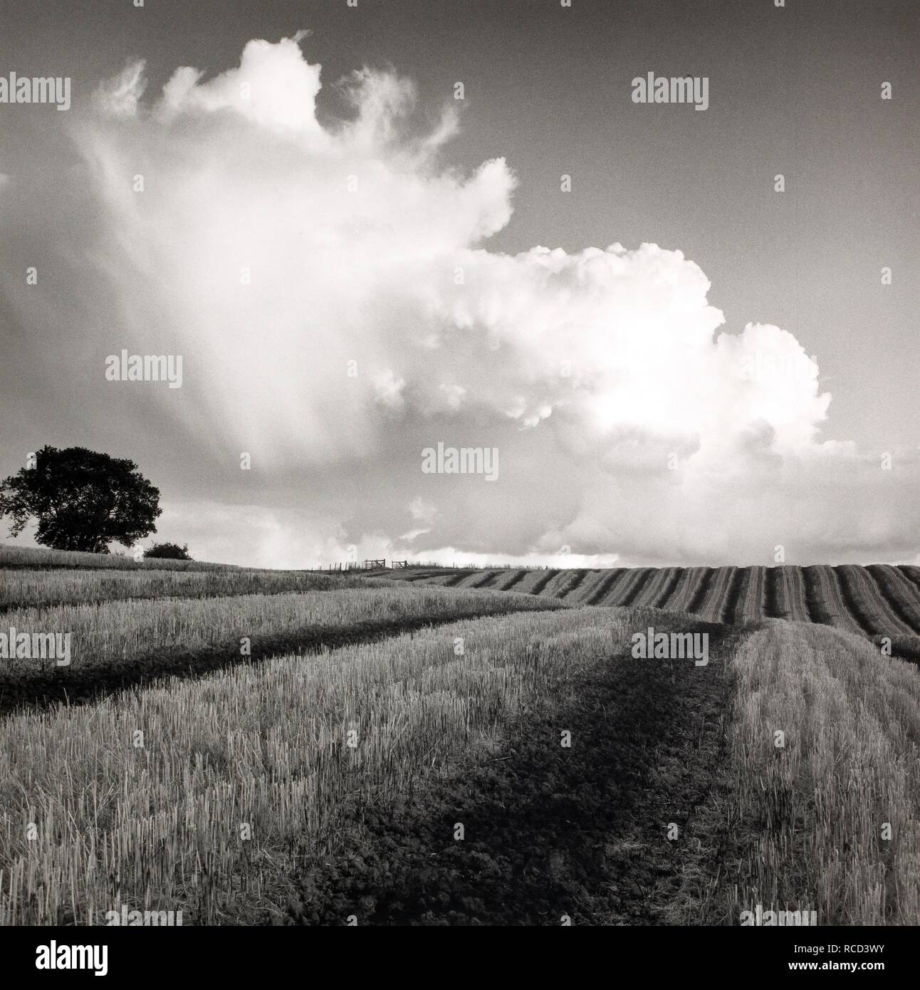 Fay godwin landscape hi-res stock photography and images - Alamy