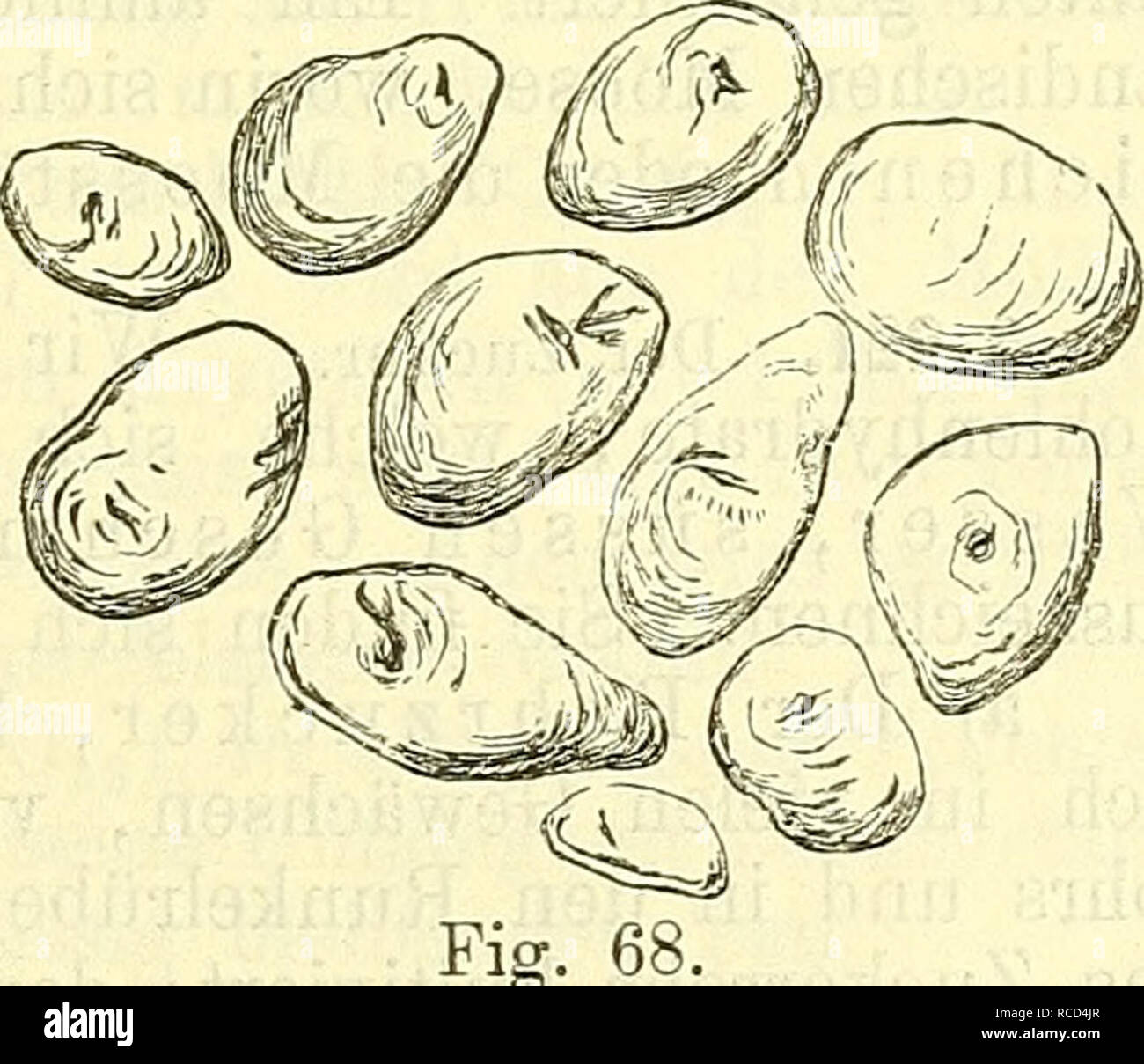 Konz aus hi-res stock photography and images - Alamy