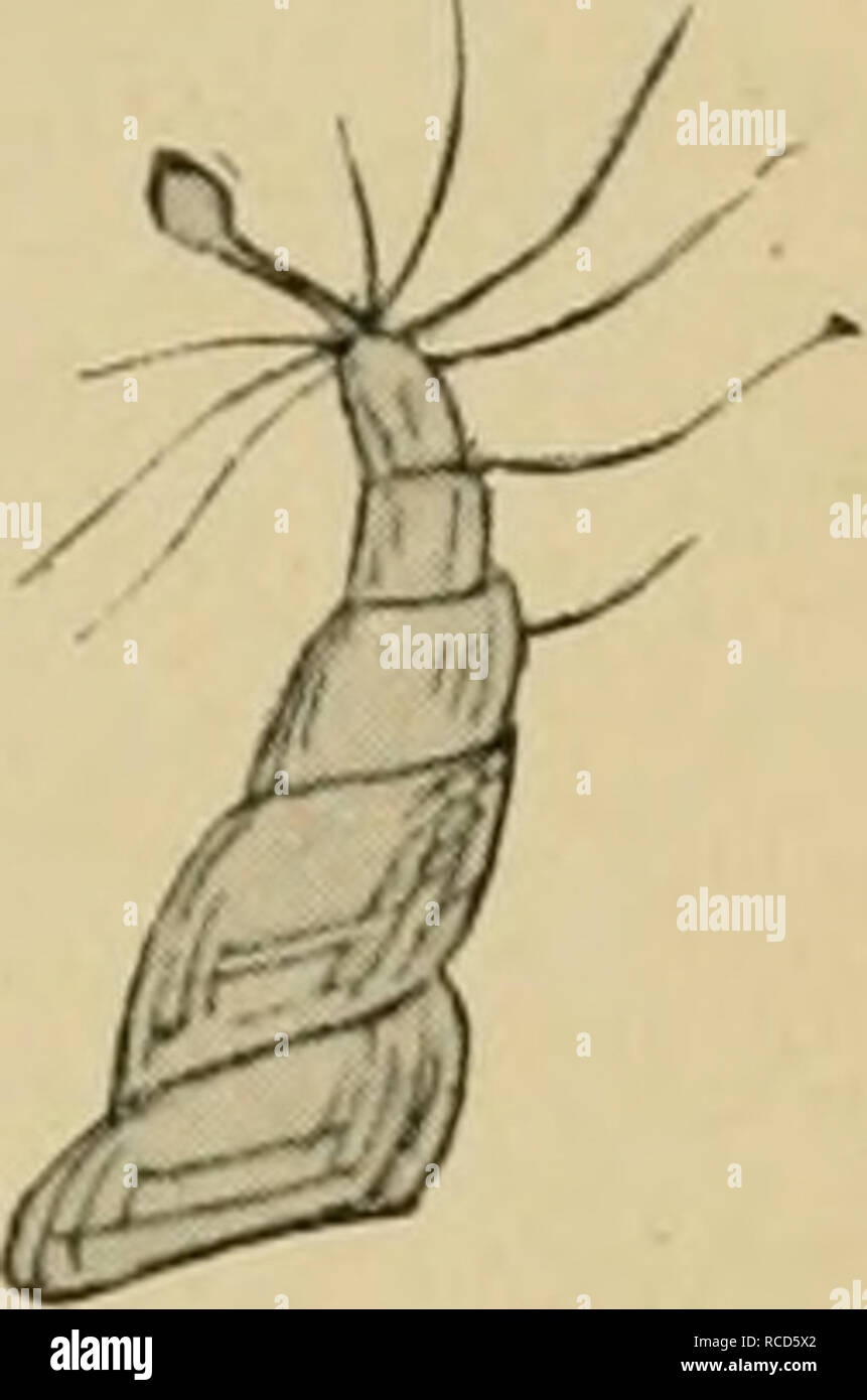 . Diseases of poultry; their etiology, diagnosis, treatment, and ...
