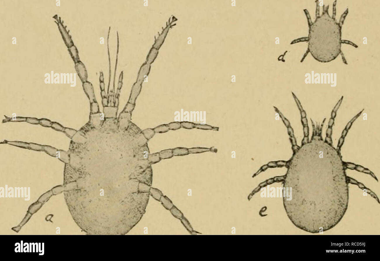 . Diseases of poultry; their etiology, diagnosis, treatment, and ...