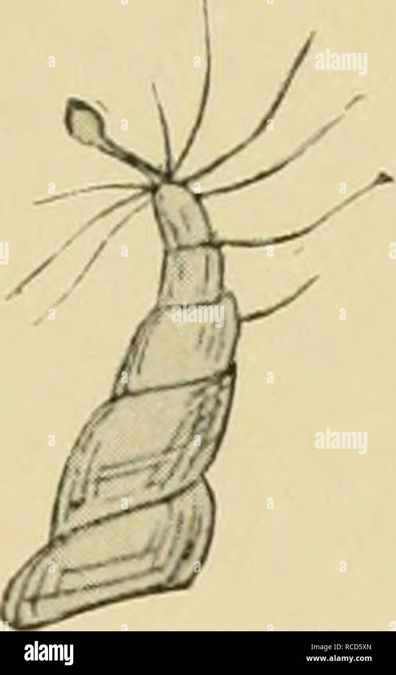 . Diseases of poultry; their etiology, diagnosis, treatment, and ...