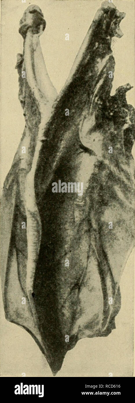 . Diseases of poultry; their etiology, diagnosis, treatment, and ...