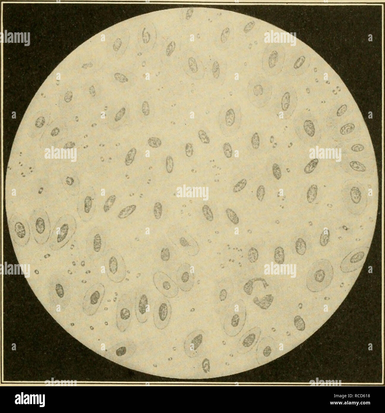 . Diseases of poultry; their etiology, diagnosis, treatment, and ...