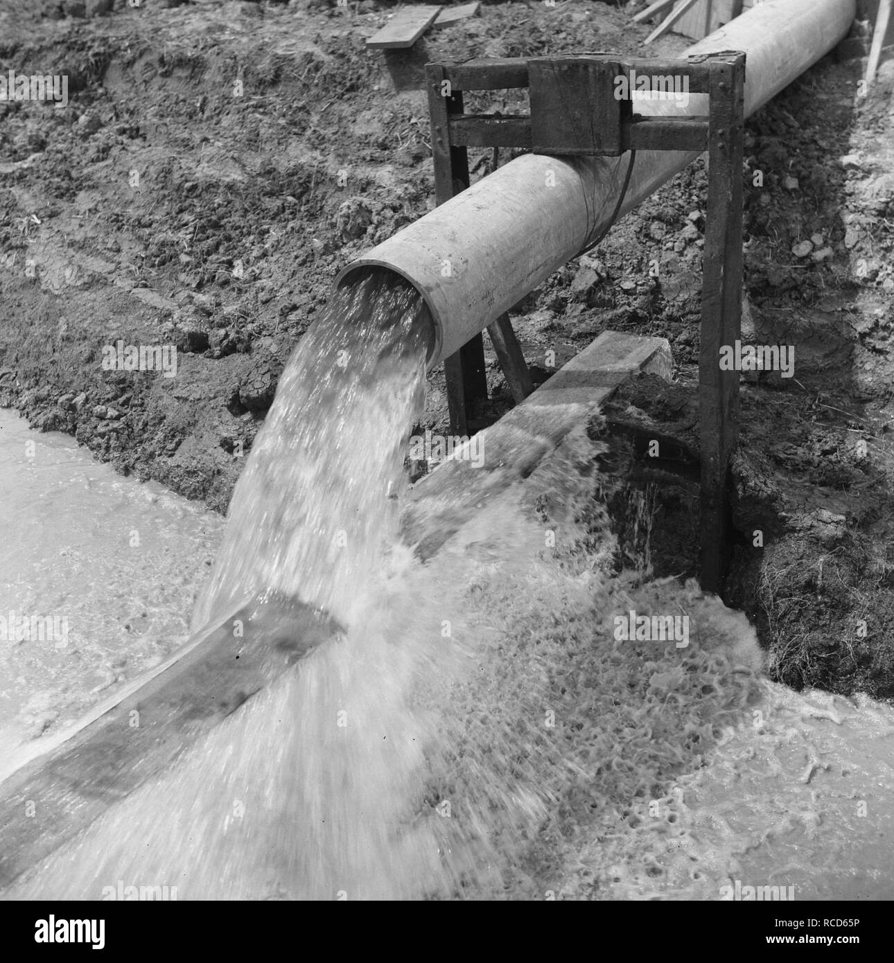 Buizen hi-res stock photography and images - Alamy