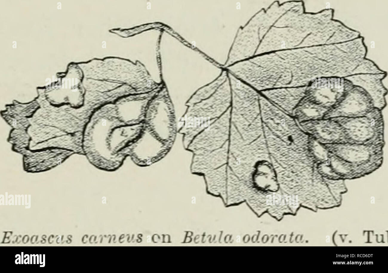 . Diseases of plants induced by cryptogamic parasites; introduction to ...