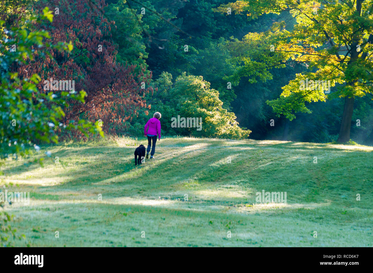 A senior woman and her dog in the park on a lovely morning, Ontario ...