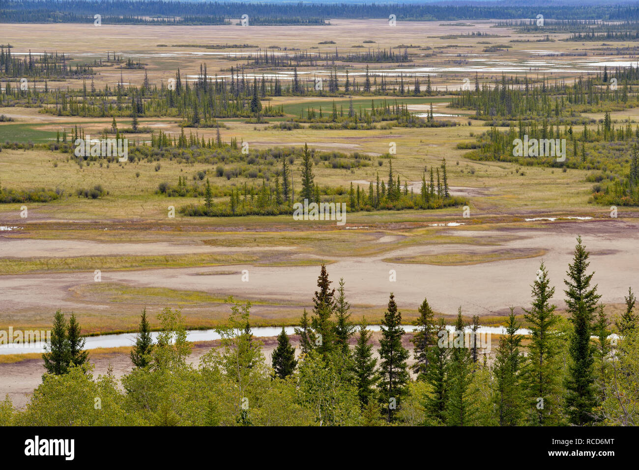 Wood Buffalo National Park Salt Plains High Resolution Stock ...