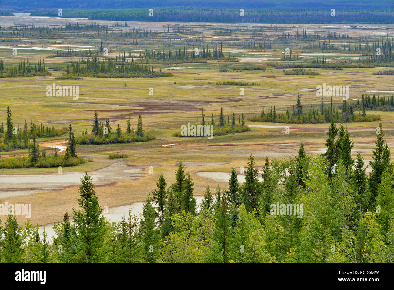Salt plains from the overlook, Wood Buffalo National Park, Alberta ...