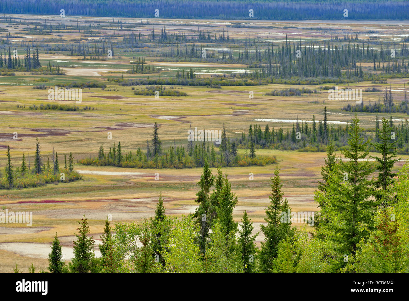 Wood Buffalo National Park Salt Plains High Resolution Stock ...