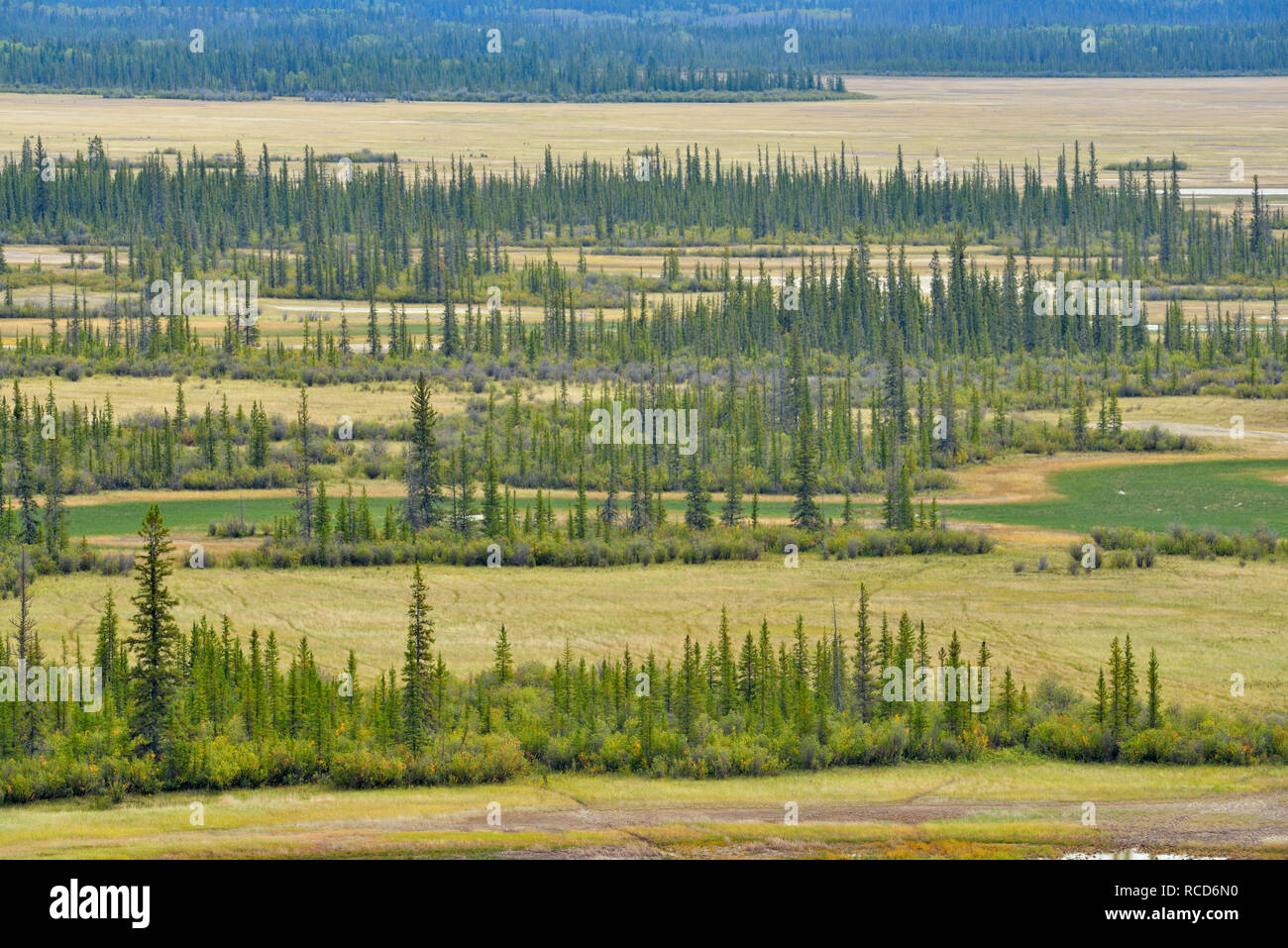 Wood Buffalo National Park Salt Plains High Resolution Stock ...