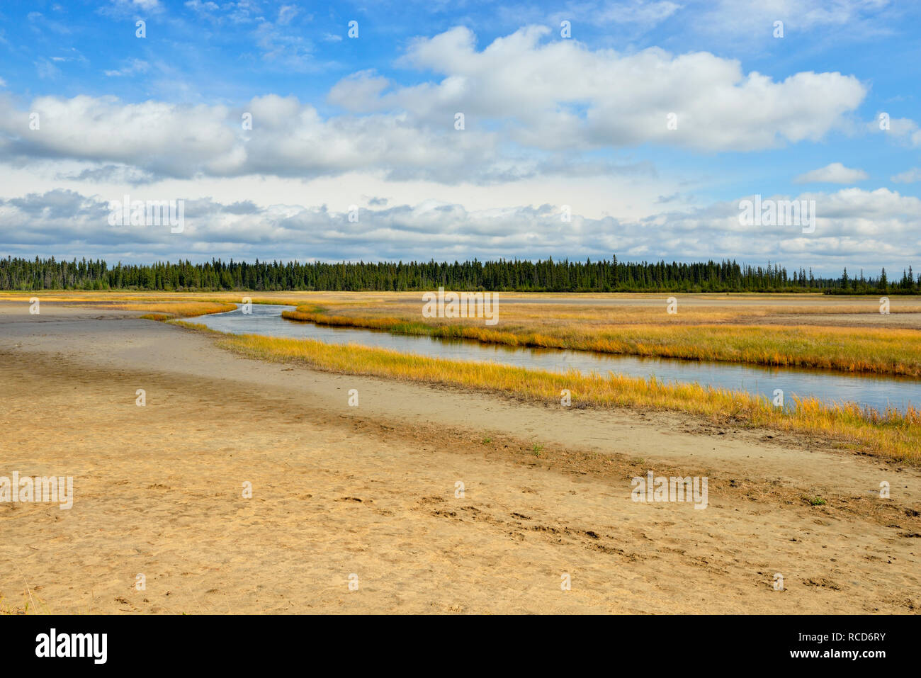Salt Plains water channel, Wood Buffalo National Park, Alberta, Canada ...
