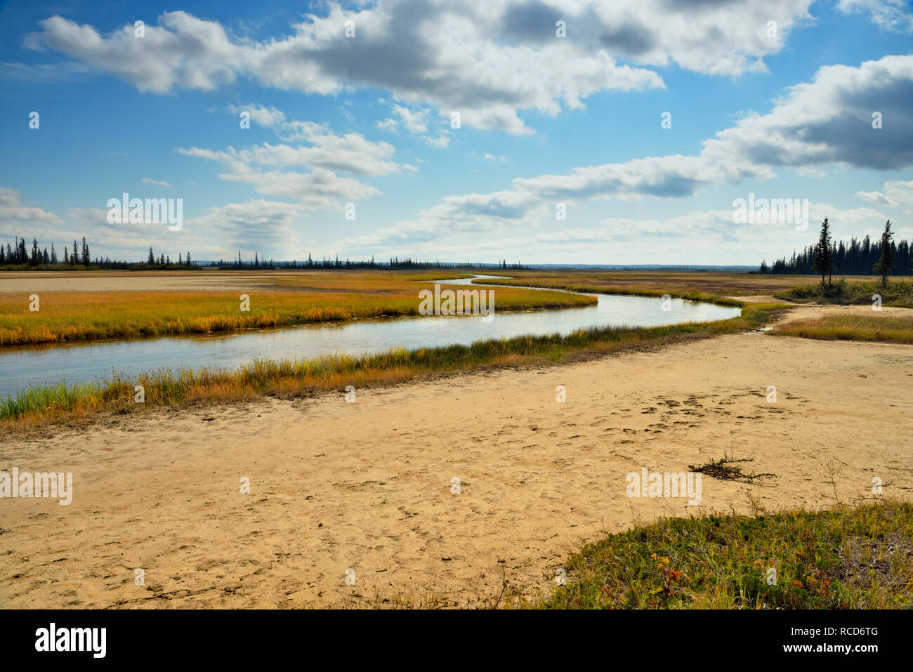 Salt Plains water channel, Wood Buffalo National Park, Alberta, Canada ...