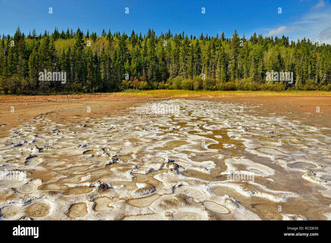 Seep hi-res stock photography and images - Alamy