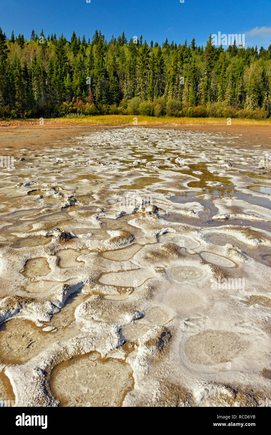 Wood buffalo national park salt plains hi-res stock photography and ...