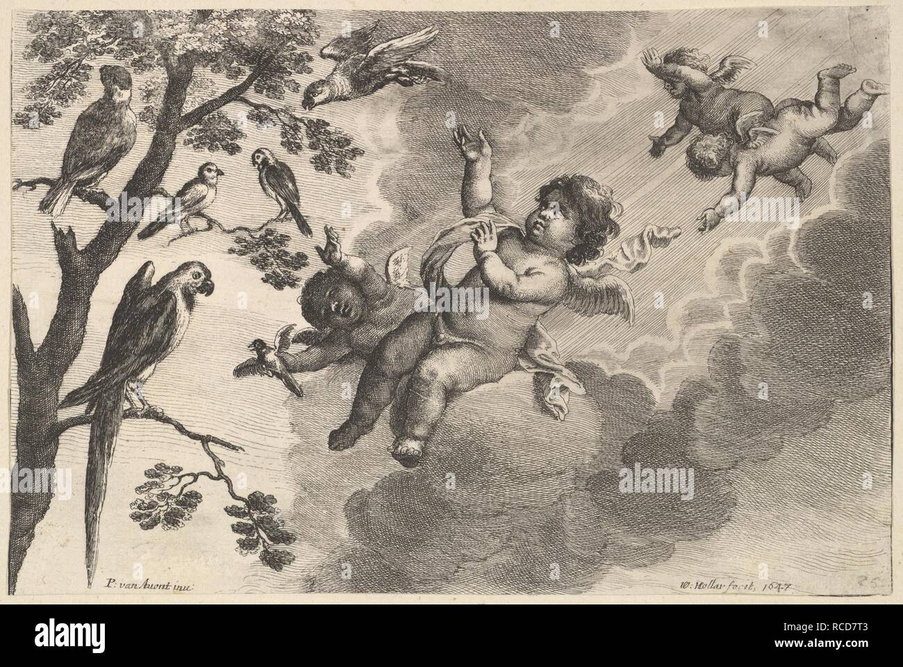Air (The Four Elements Stock Photo - Alamy