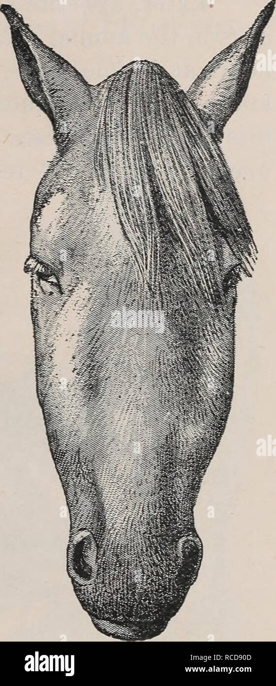 Cachexia e hi-res stock photography and images - Alamy