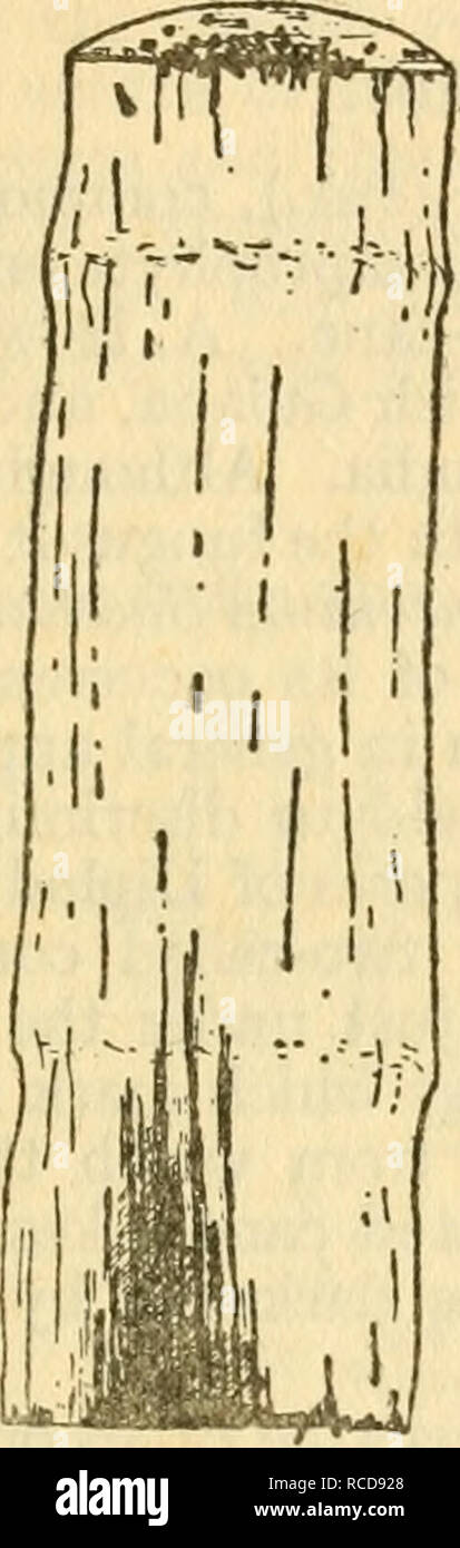 William nowell hi-res stock photography and images - Alamy