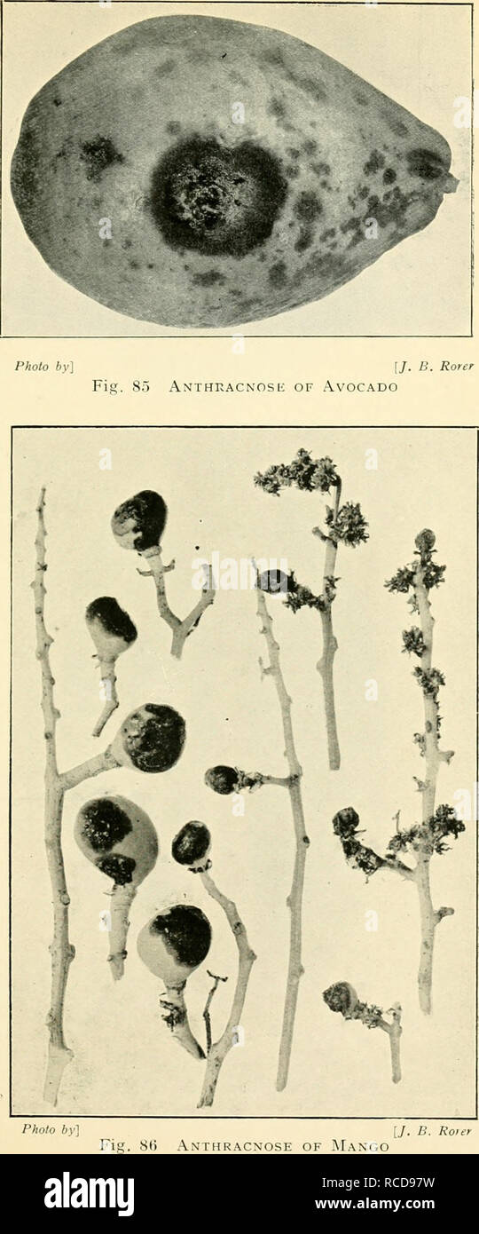 William nowell hi-res stock photography and images - Alamy