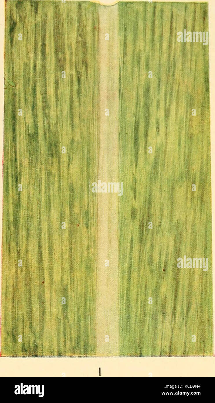 William nowell hi-res stock photography and images - Alamy