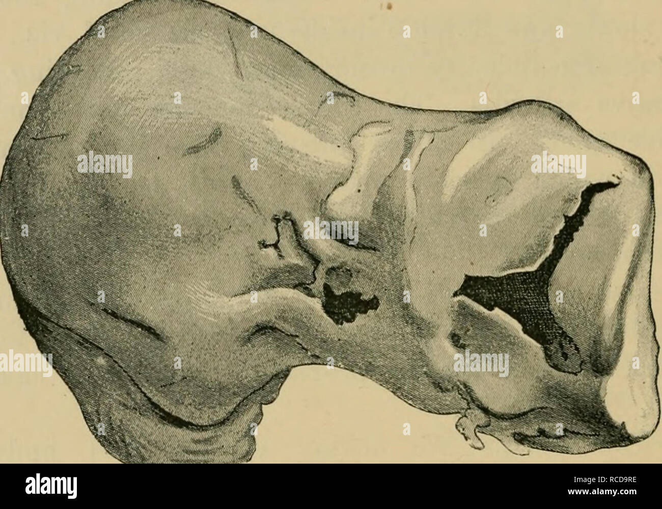 Gravely point hi-res stock photography and images - Alamy