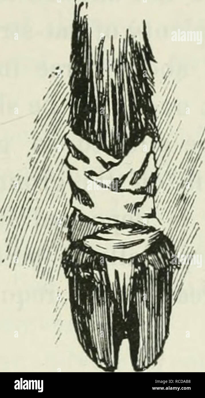 Boric ointment hi-res stock photography and images - Alamy