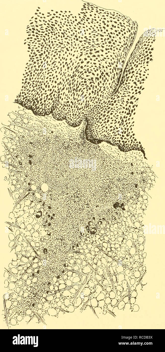 Needle shaped crystals hi-res stock photography and images - Alamy
