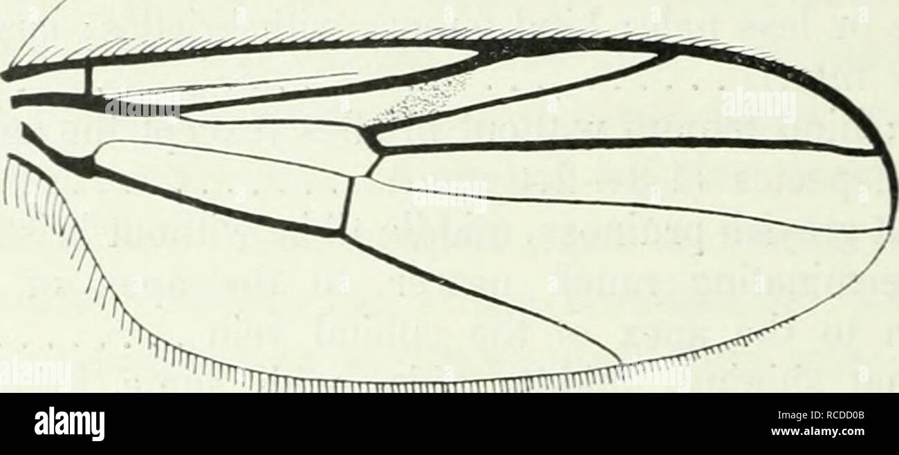 . Diptera Danica: genera and species of flies hitherto found in Denmark ...