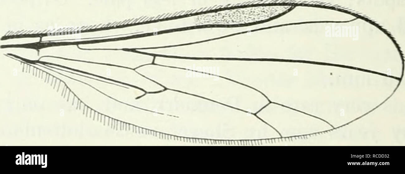 . Diptera Danica: genera and species of flies hitherto found in Denmark ...