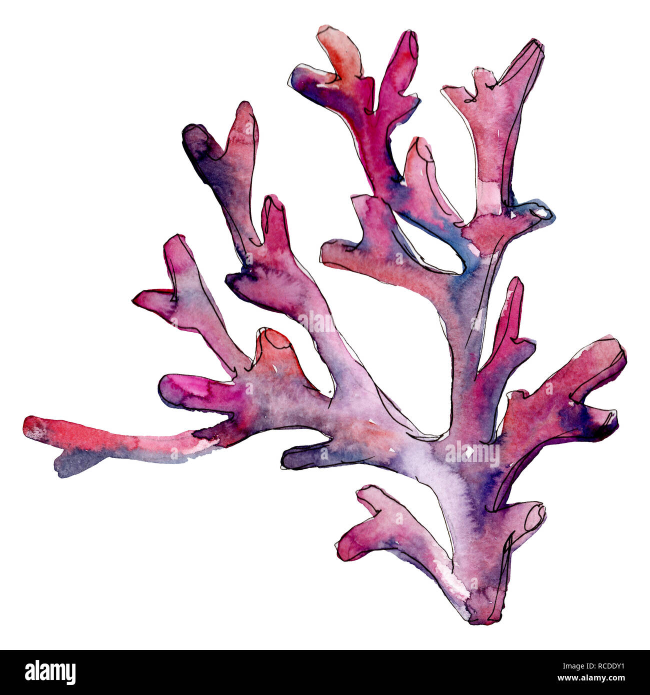 Red aquatic underwater nature coral reef. Watercolor background ...