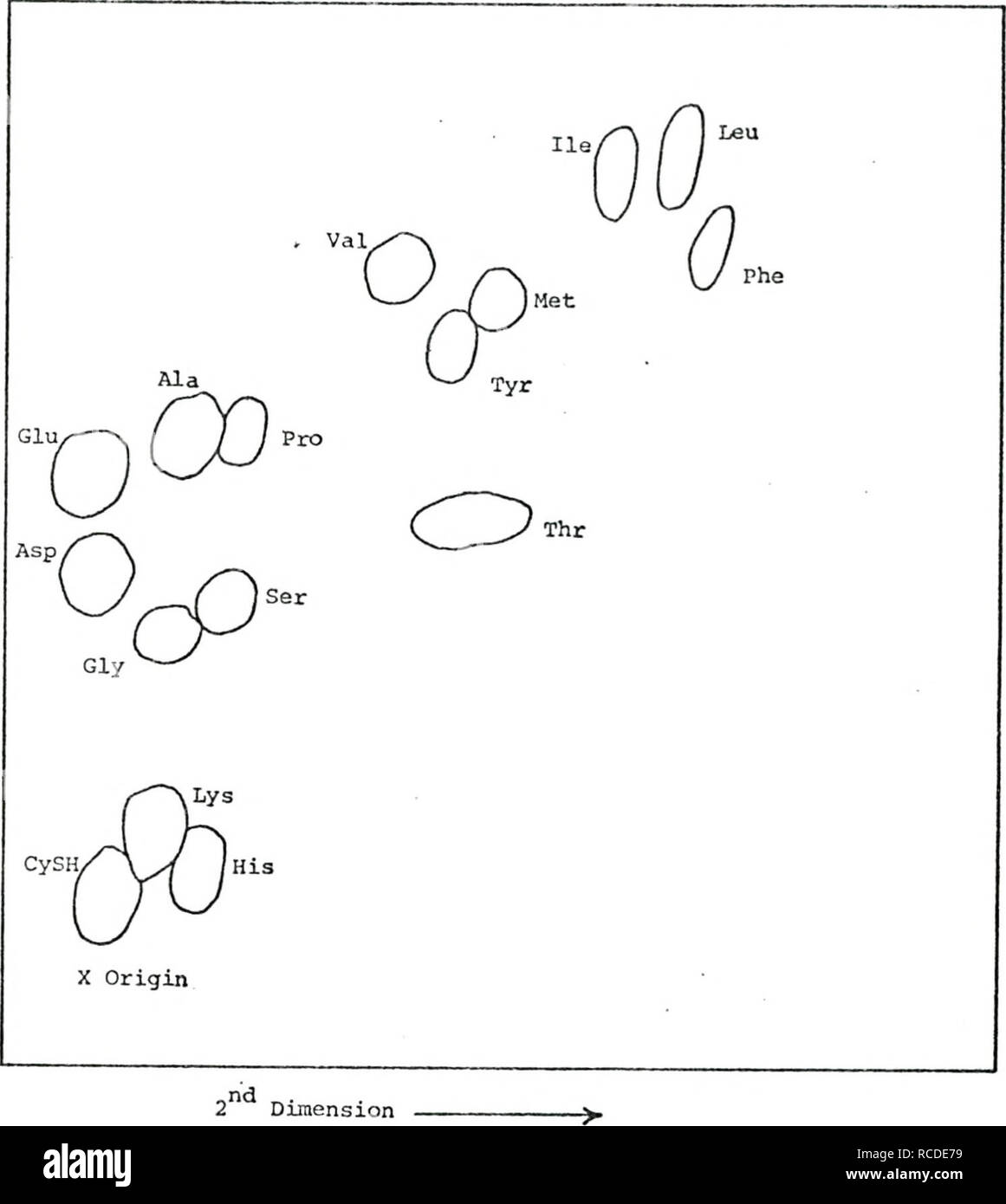 . Dietary amino acid requirements of the almond moth, Cadra cautella ...