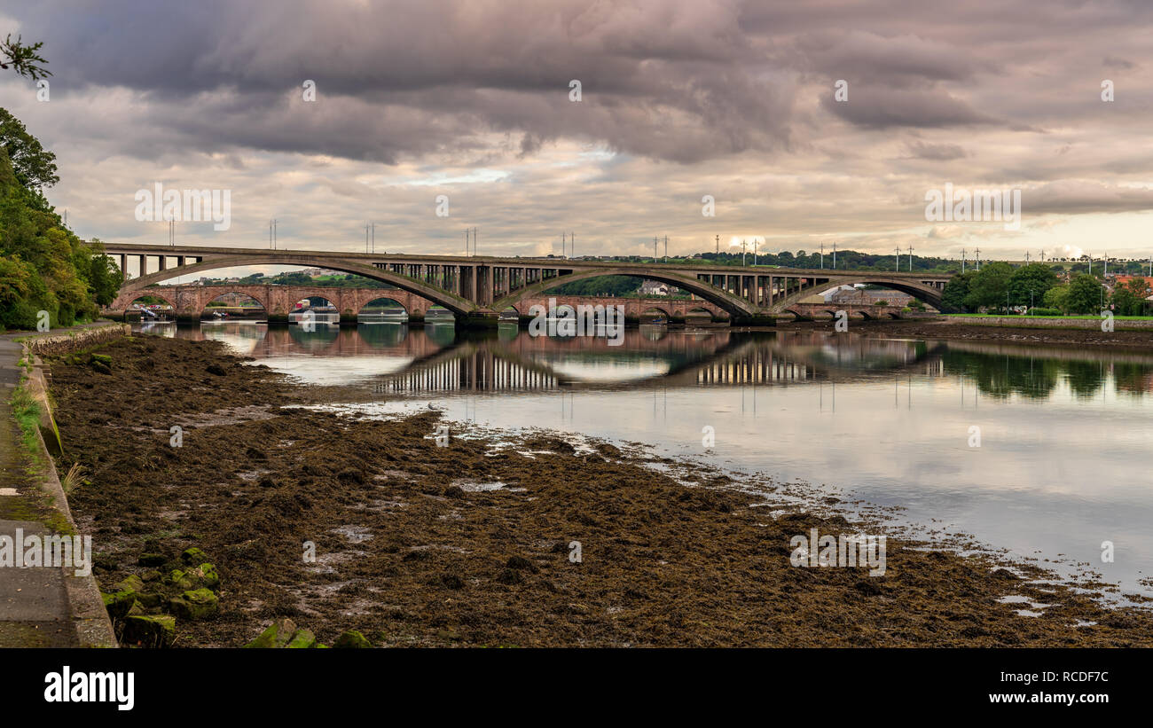 Royal Tweed Bridge and Berwick Bridge in the background, leading over ...