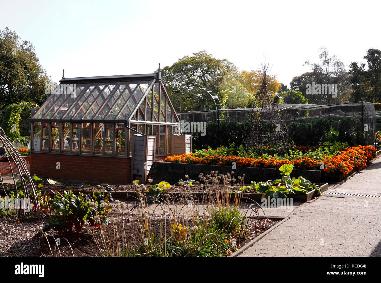 Rhs garden wisley veg garden hi-res stock photography and images - Alamy