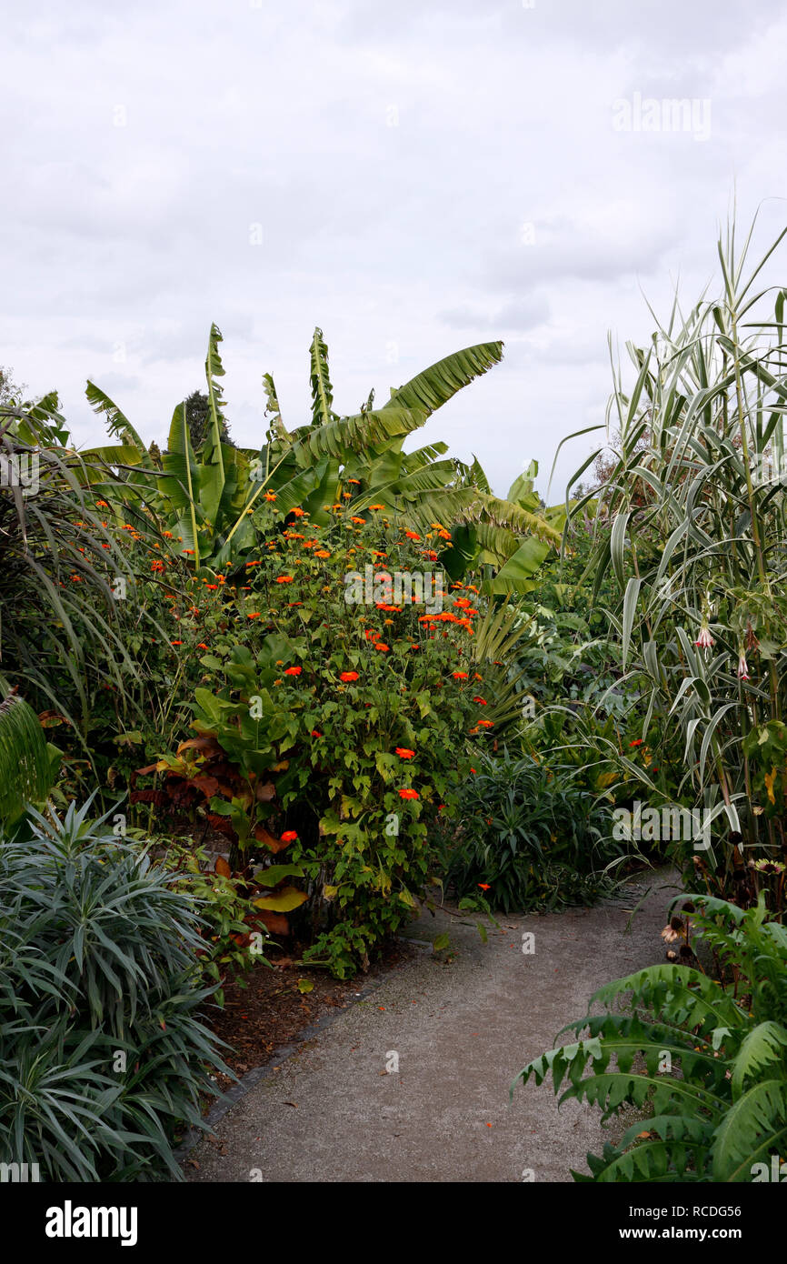 Sub tropical plants hi-res stock photography and images - Alamy