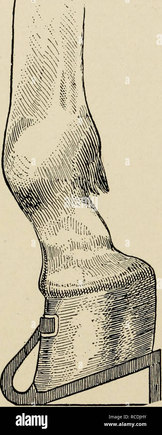 Knuckling High Resolution Stock Photography and Images - Alamy