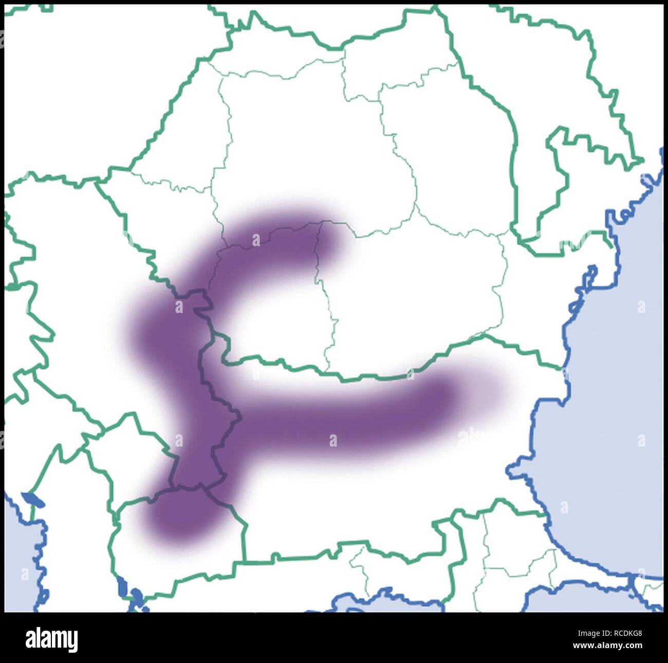 Agardhiella hi-res stock photography and images - Alamy