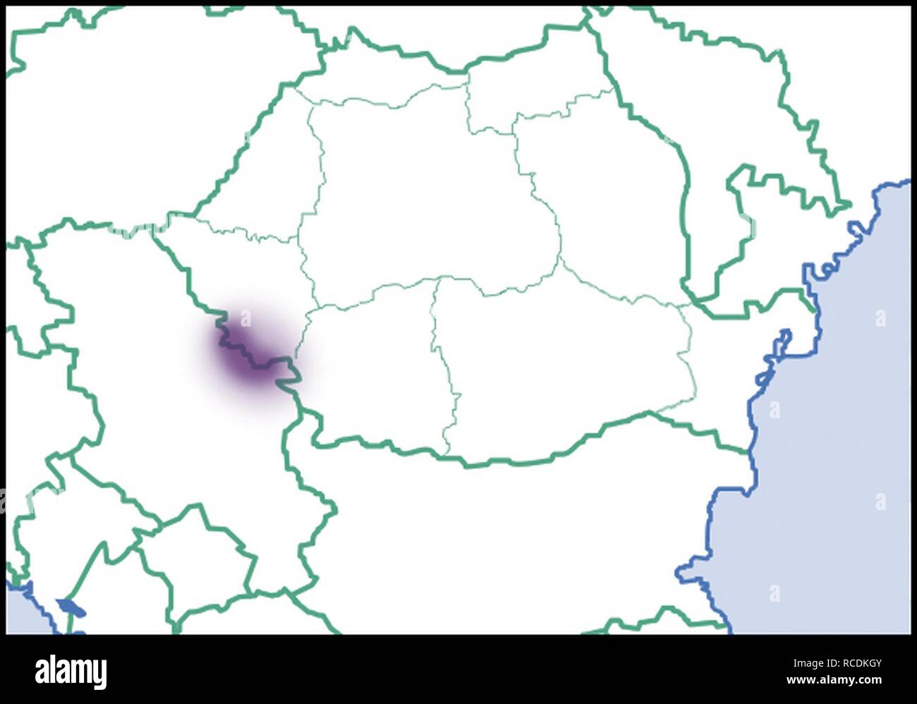 Agardhiella hi-res stock photography and images - Alamy