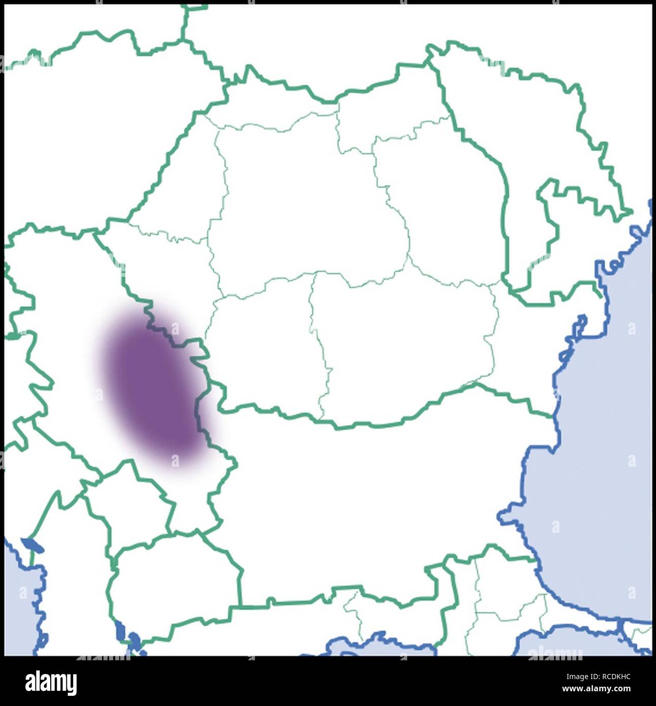 Agardhiella hi-res stock photography and images - Alamy