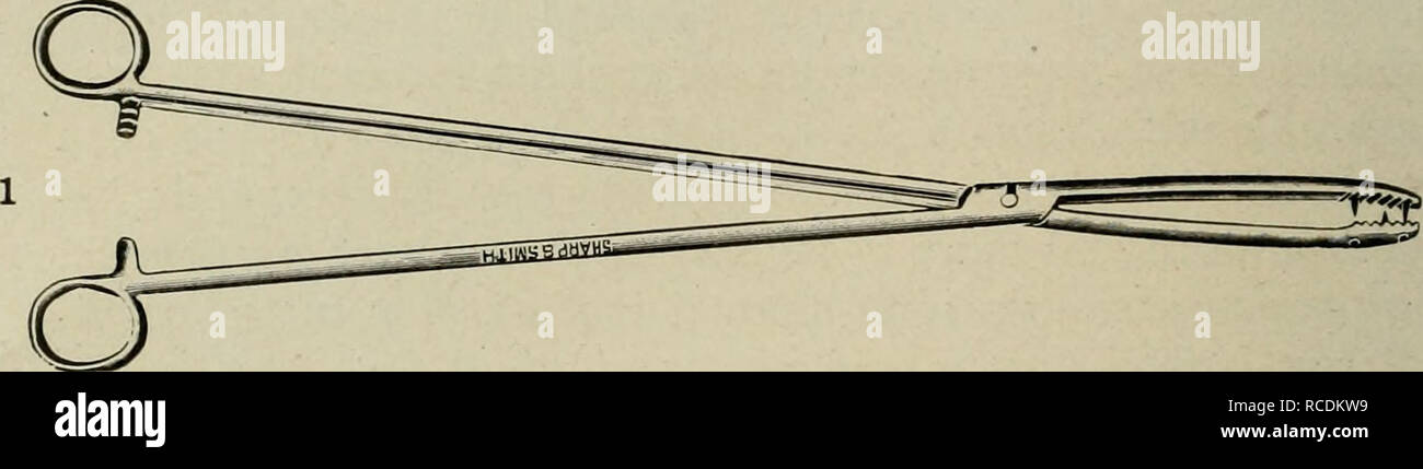 Nancy loo hi-res stock photography and images - Alamy