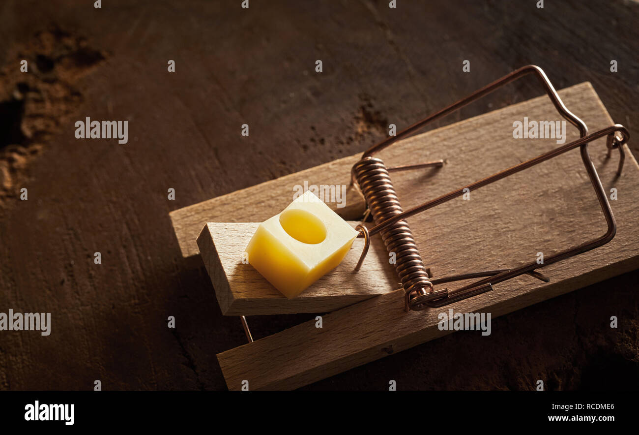 DIY rodent or pest control at home with a wooden spring type mouse trap ...