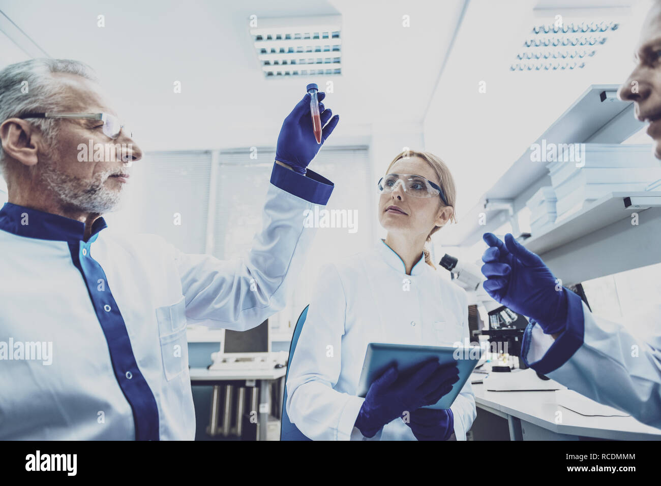 Attentive male person looking at test tube Stock Photo - Alamy