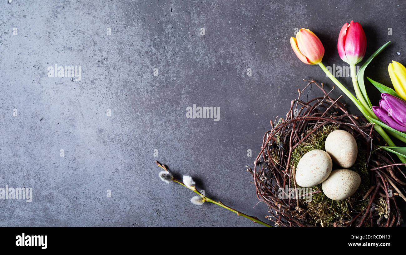 Eggs in decorative nest and flowers with copy space Easter spring ...