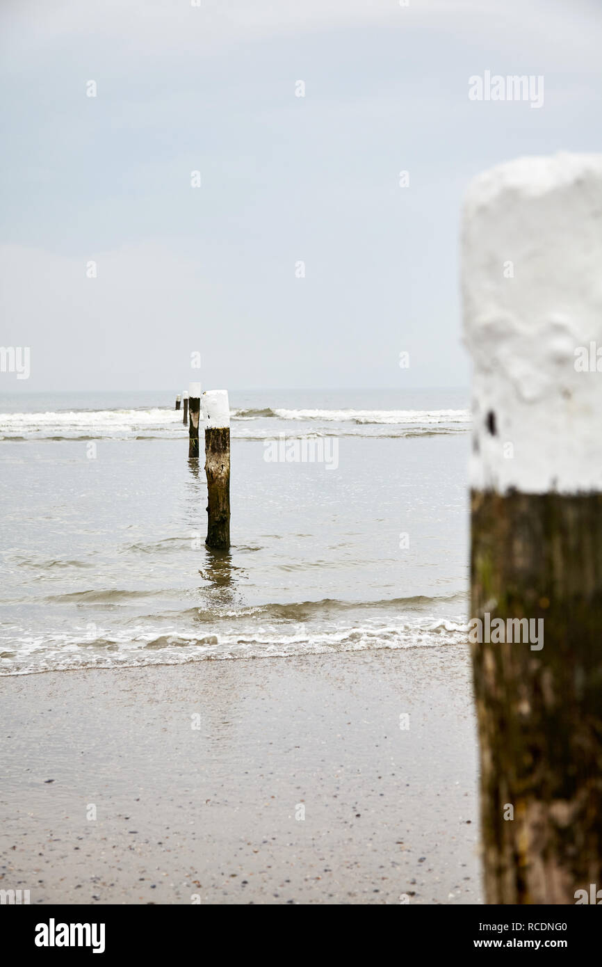 Row of old vertical wooden beach poles with tops painted white on the ...