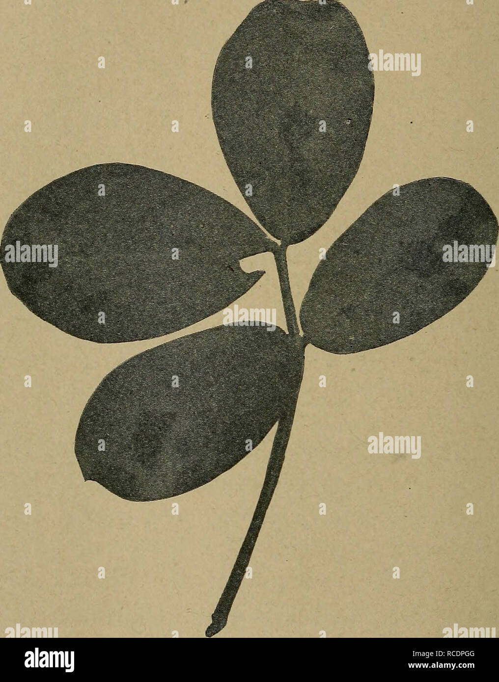 Simultaneous rot hi-res stock photography and images - Alamy