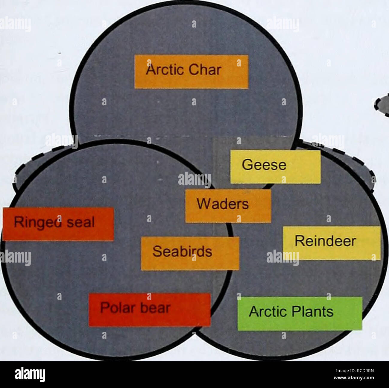 . Discussion Paper: Data Management and Communication for the ...