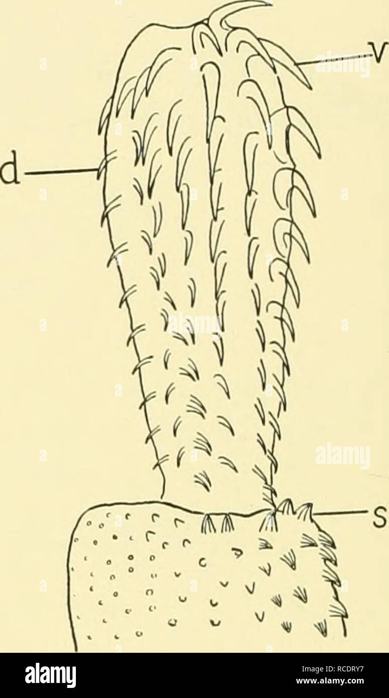 . Discovery reports. Discovery (Ship); Scientific expeditions. -^. 0-2 ...