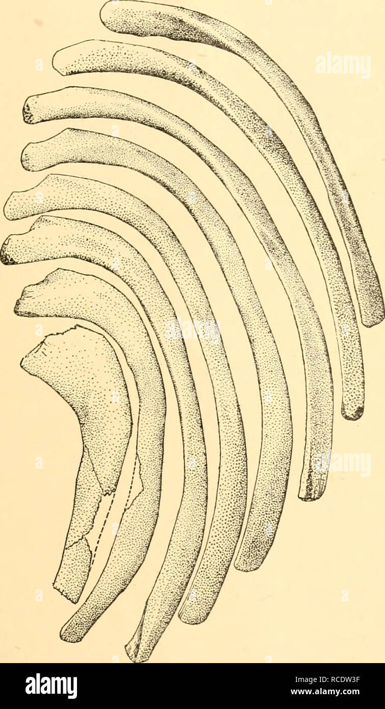. Discovery reports. Discovery (Ship); Scientific expeditions; Ocean ...