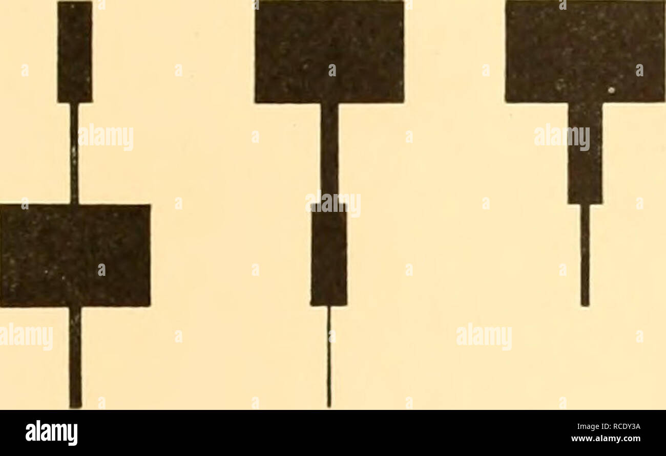 . Discovery reports. Discovery (Ship); Scientific expeditions; Ocean ...