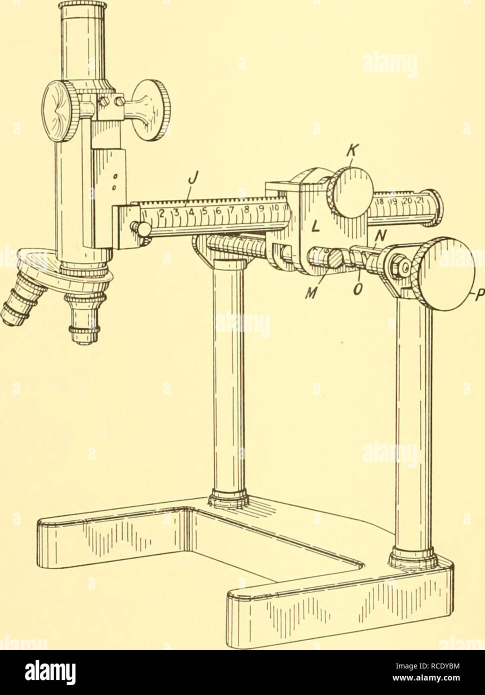 Plankton Ocean Microscope High Resolution Stock Photography and Images ...